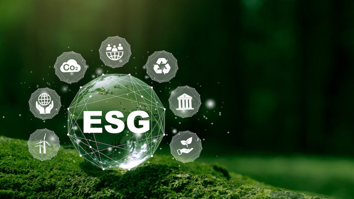 CEEQA | What are the new ESG Champion Awards?
